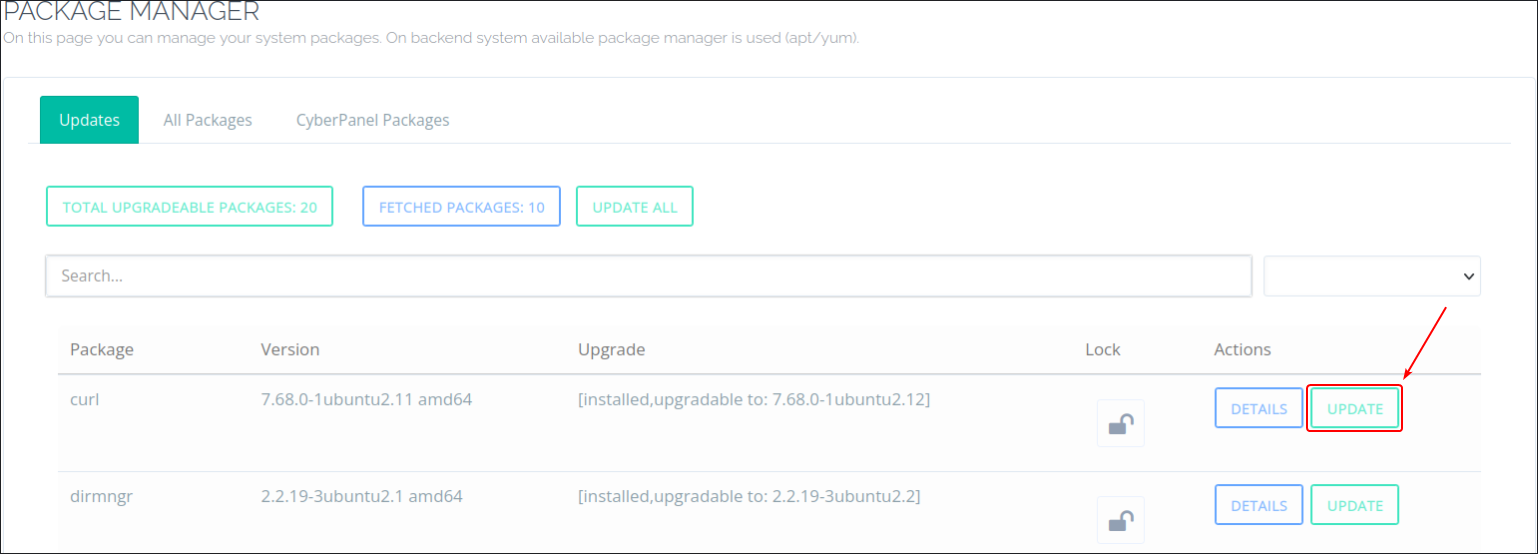 Cómo actualizar Cyberpanel – DonWeb